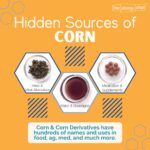 Hidden Sources of Corn and Corn Derivatives & Corn Allergy Info | The ...
