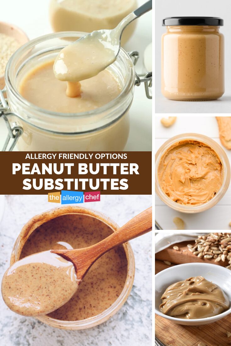 Peanut Butter Alternatives & Substitutes for Sandwiches & Baking
