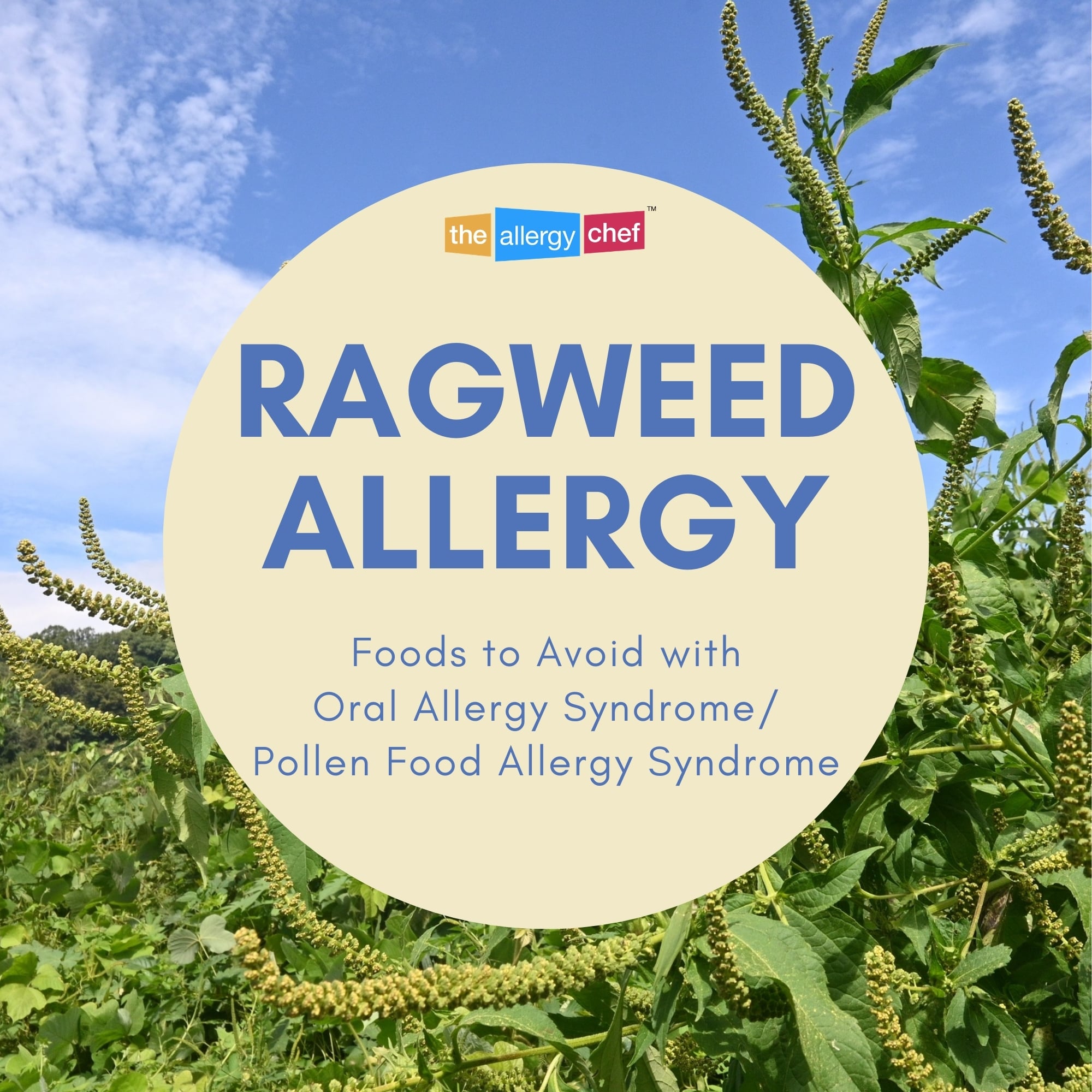 Oral Allergy Syndrome Cross Reactive Foods Chart (PFAS) | The Allergy Chef™